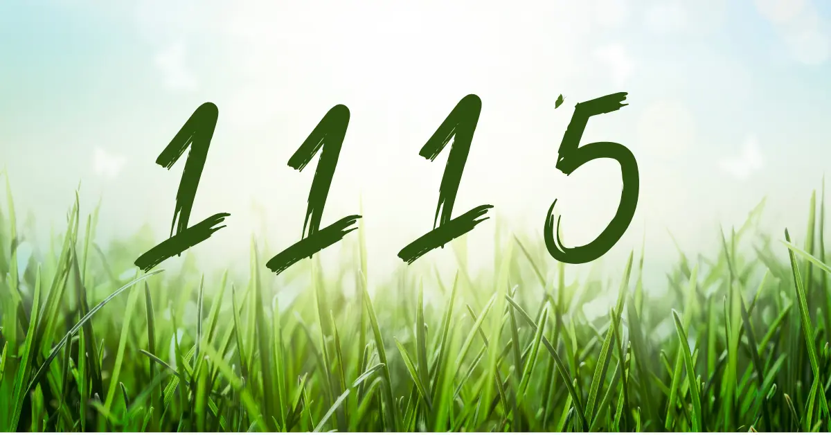 1115 Angel Number: Meaning And Spiritual Significance